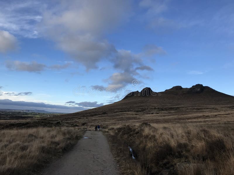Path through Meadow in Newcastle Stock Image - Image of travel, britain ...