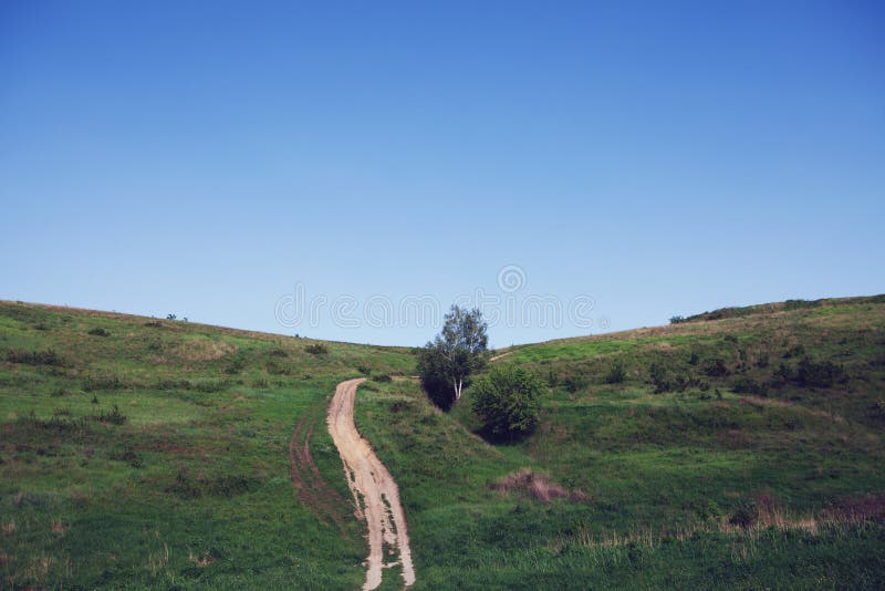 Path through Meadow at Sunset. Places for Walk on Fresh Air in Summer ...