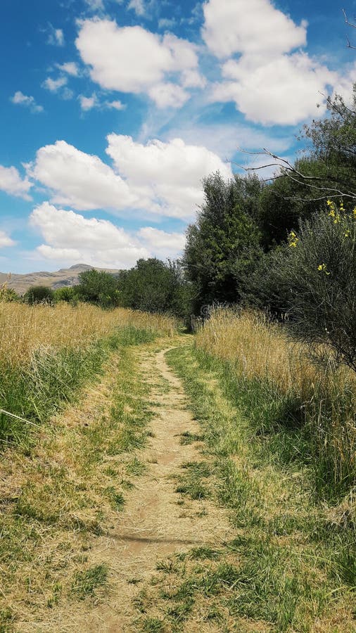 Path between the Meadow, Vegetation, Mountains, Sky with Clouds Stock ...