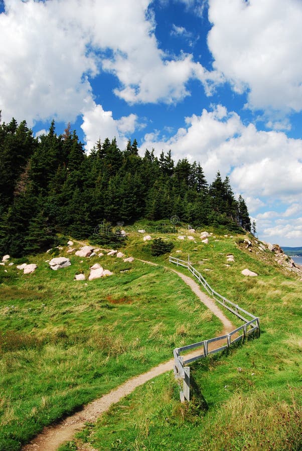 Path through Meadow and into the Woods Stock Image - Image of woods ...