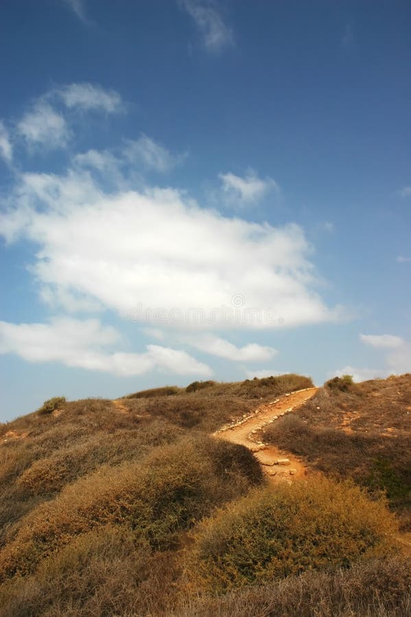 Path in the medow stock photo. Image of mountain, freedom - 3292640
