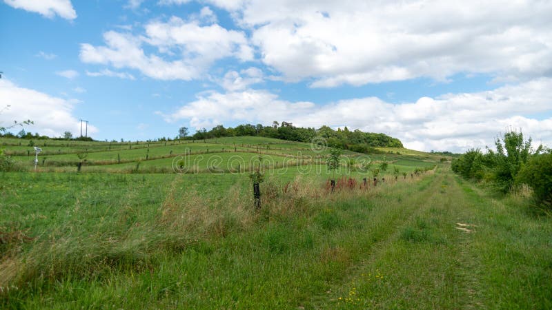 Path in the Middle of Fields Stock Image - Image of green, hills: 191641621