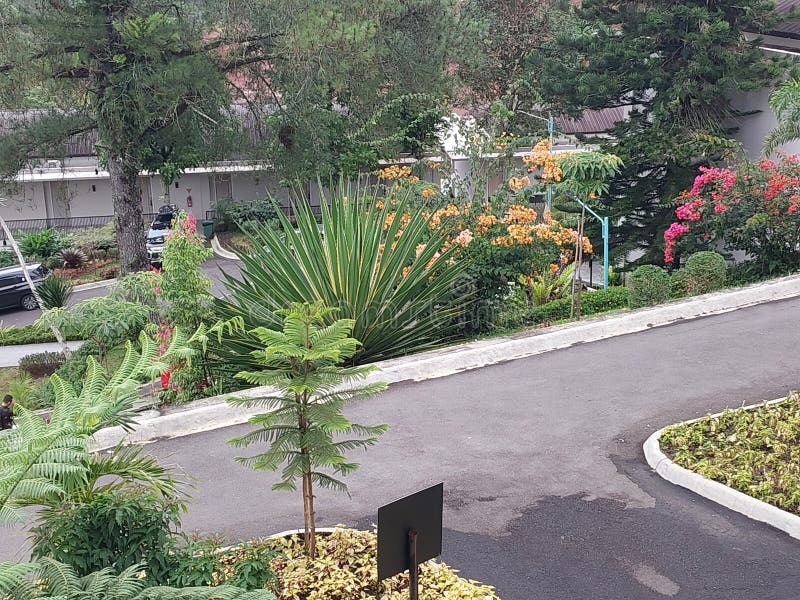 A Path in the Middle of a Garden Filled with Various Colorful Flowers ...