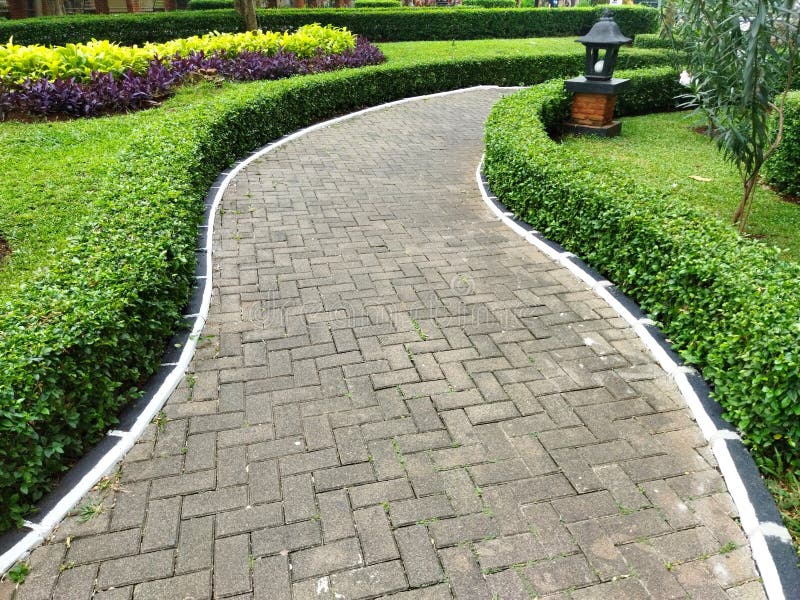 Path in the Middle of the Garden, with Hedges on the Left and Right ...