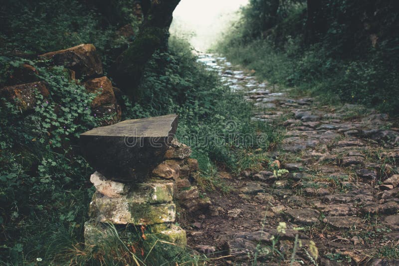 Path in the Middle of a Lush Forest with Stock Image - Image of scenery ...