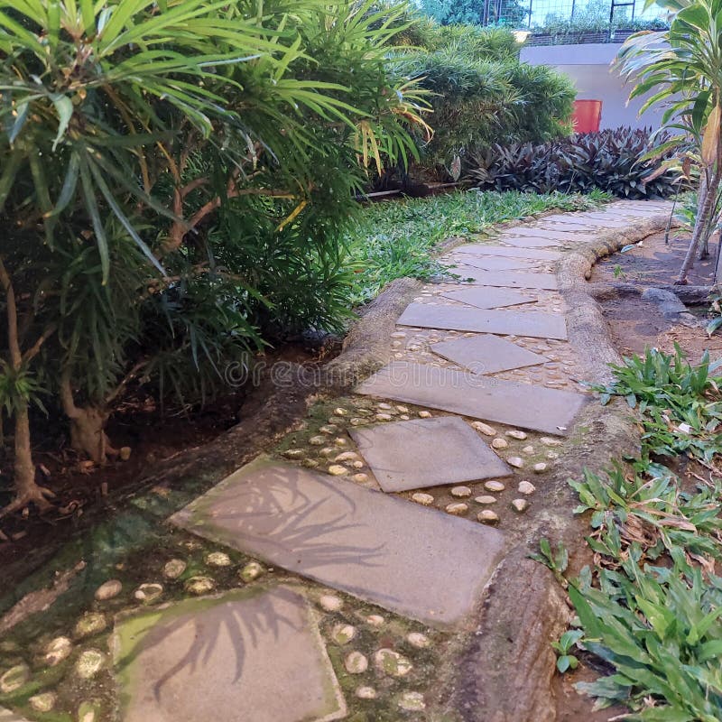 Path in the Middle of the Park Stock Photo - Image of estate, walkway ...