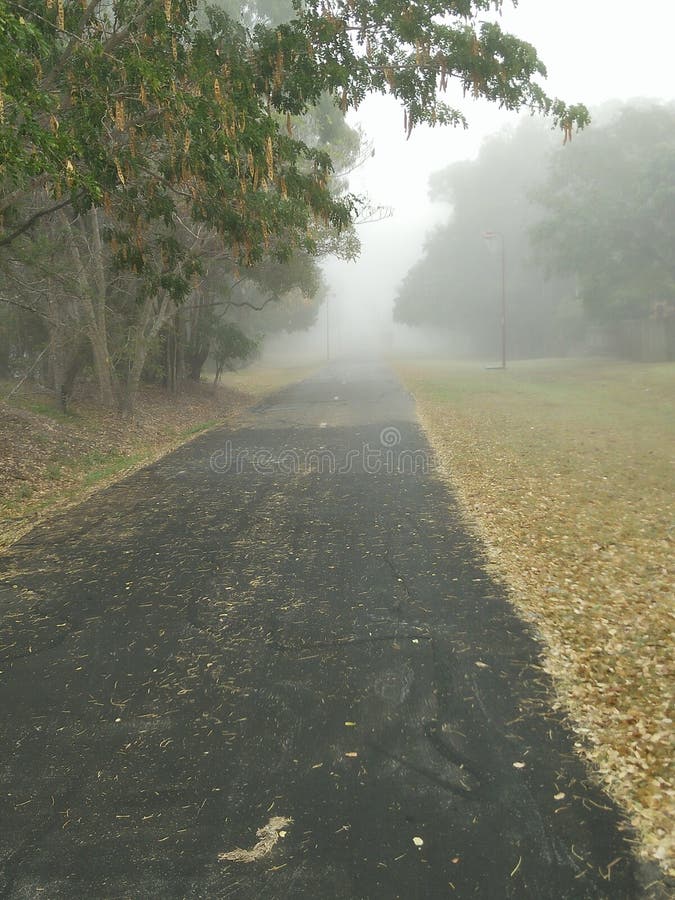 Path in the mist stock photo. Image of nature, green - 19640446