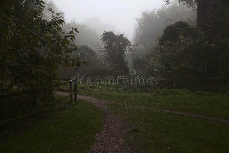 Path in the Mist in a Park in Autumn Stock Photo - Image of foliage ...