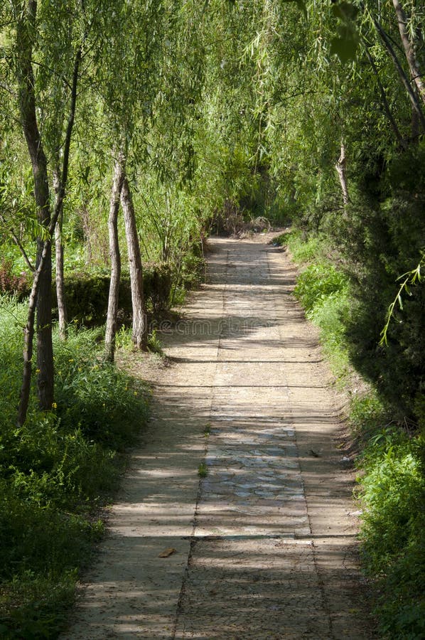 Quiet Lonely Path Picture. Image: 89047