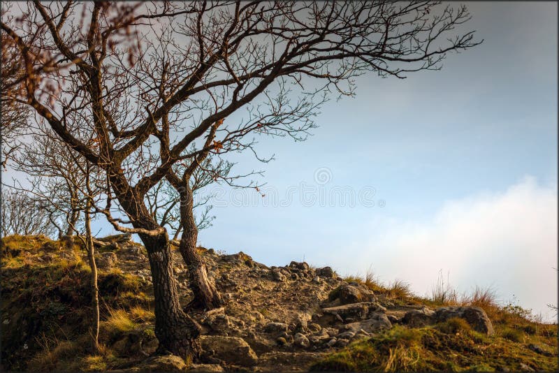 Path at the Mountain edge stock image. Image of rock - 61813523