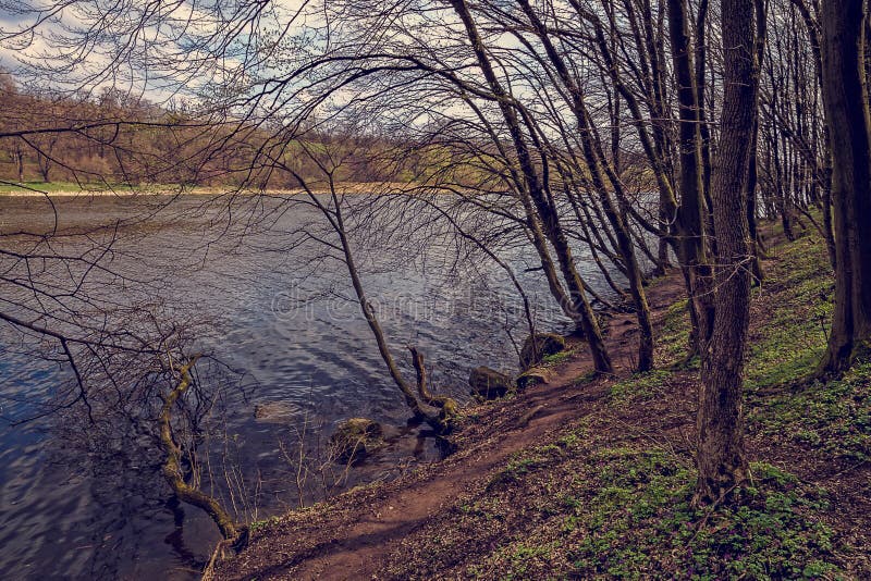 Path in Mountain Forest Along the River Stock Image - Image of path ...