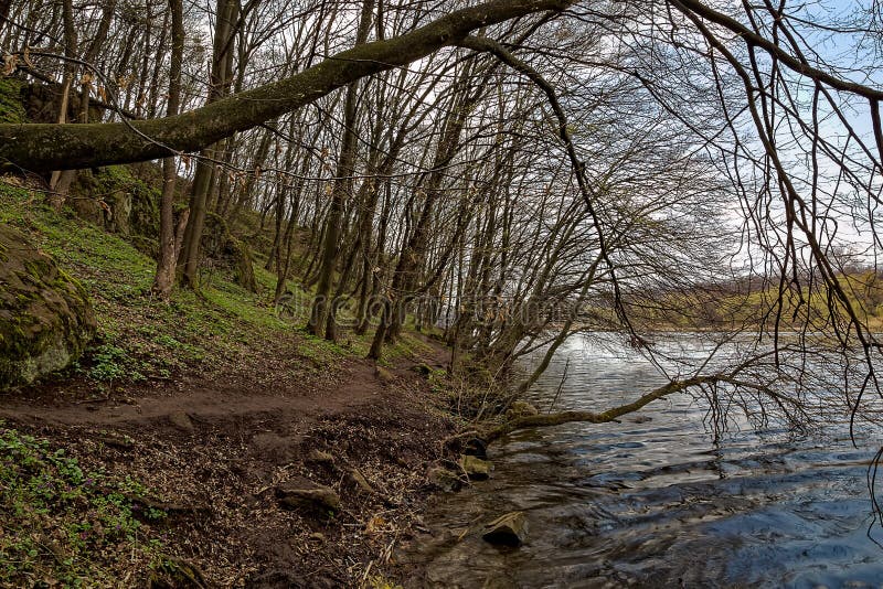 Path in Mountain Forest Along the River Stock Image - Image of ...