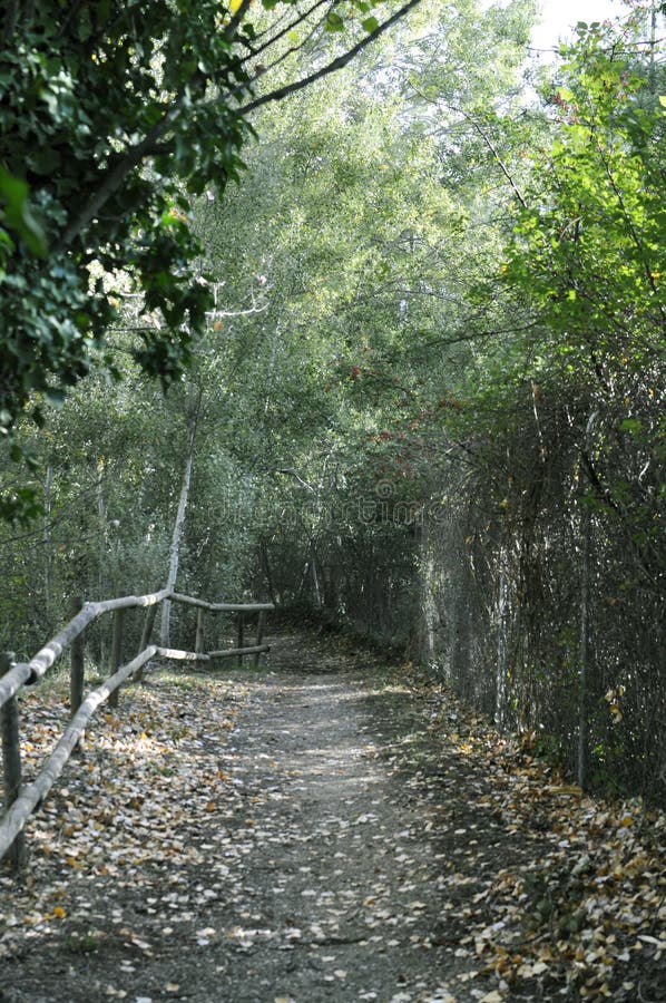 Path in the Mountain with Green Trees Around the Path, Spain Stock ...
