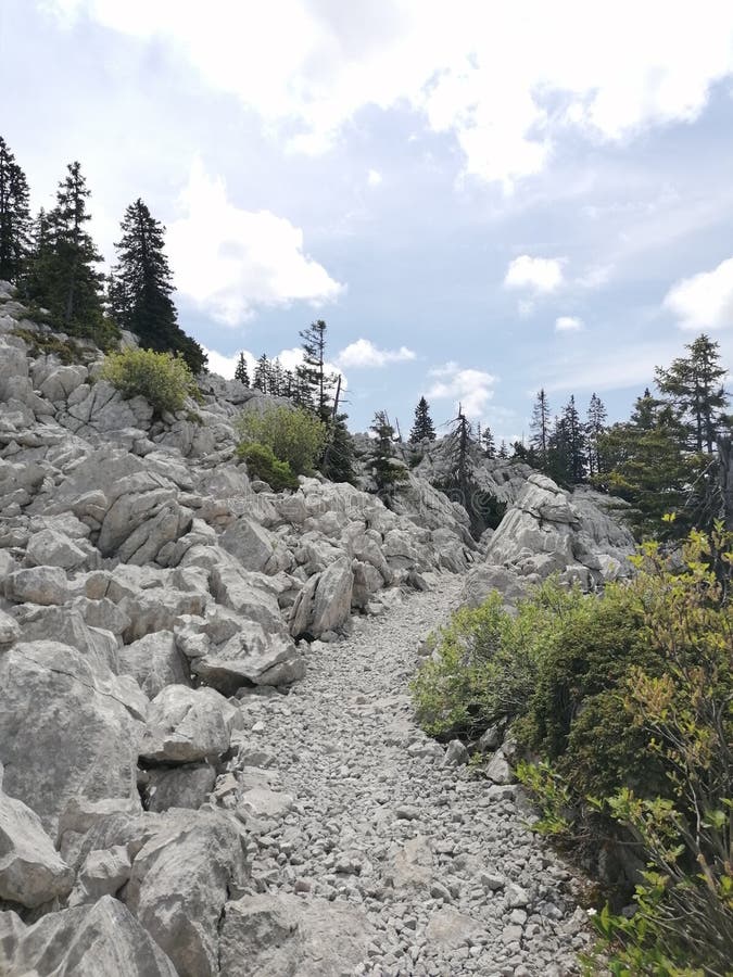 Path in the Mountain, Grey Stone and Trees Stock Photo - Image of grey ...