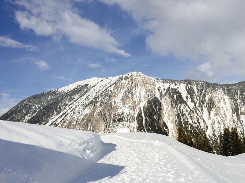 A View of a Mountain from a Path of Snow Stock Photo - Image of green ...