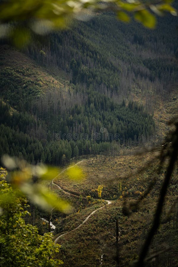 Path in a Mountain Valley, Fabulous View Stock Photo - Image of wild ...