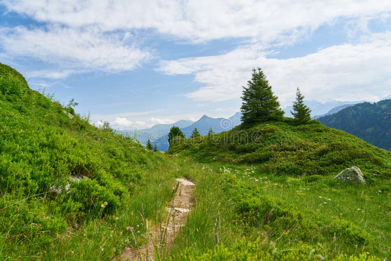 Path or Path in the Mountains of the Alps Stock Photo - Image of meadow ...