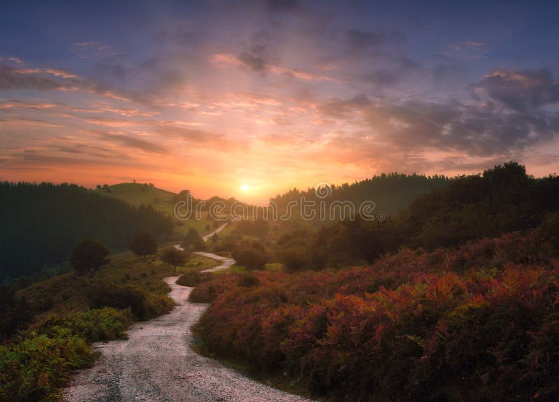 Path in the Mountains at Sunset Stock Image - Image of country, grass ...