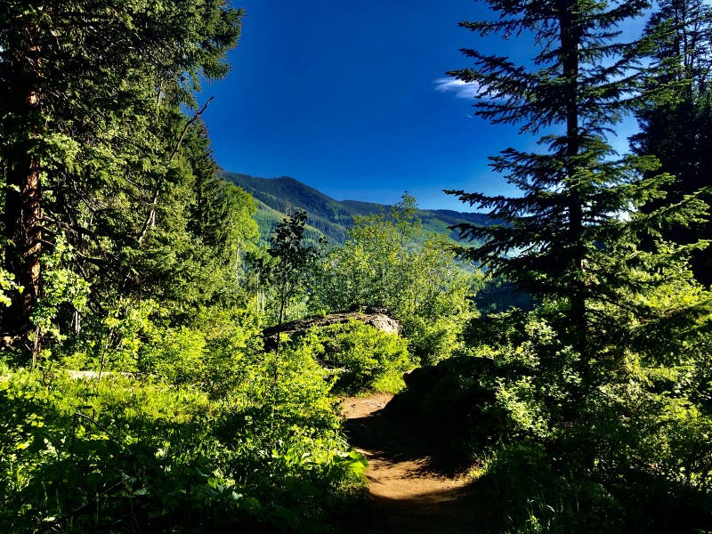 Path beneath your feet stock image. Image of vail, mountains - 193582087