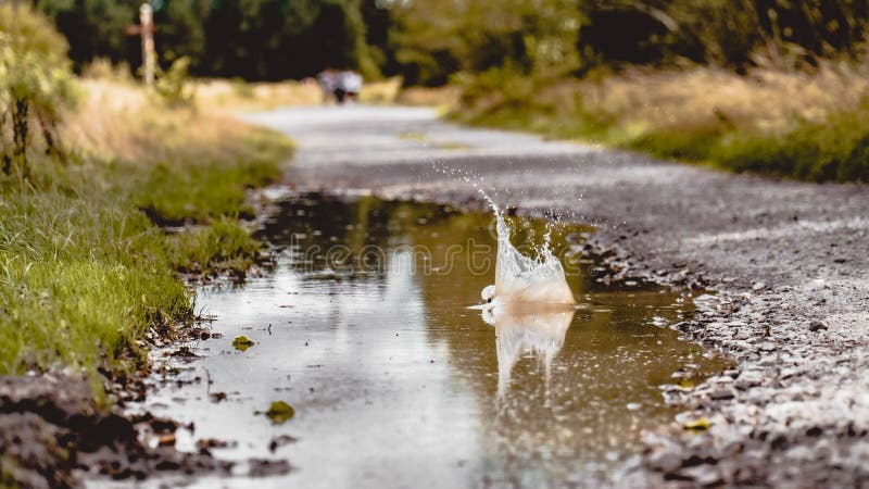 Splash in the Puddle Close Up Stock Image - Image of grass, relaxing ...