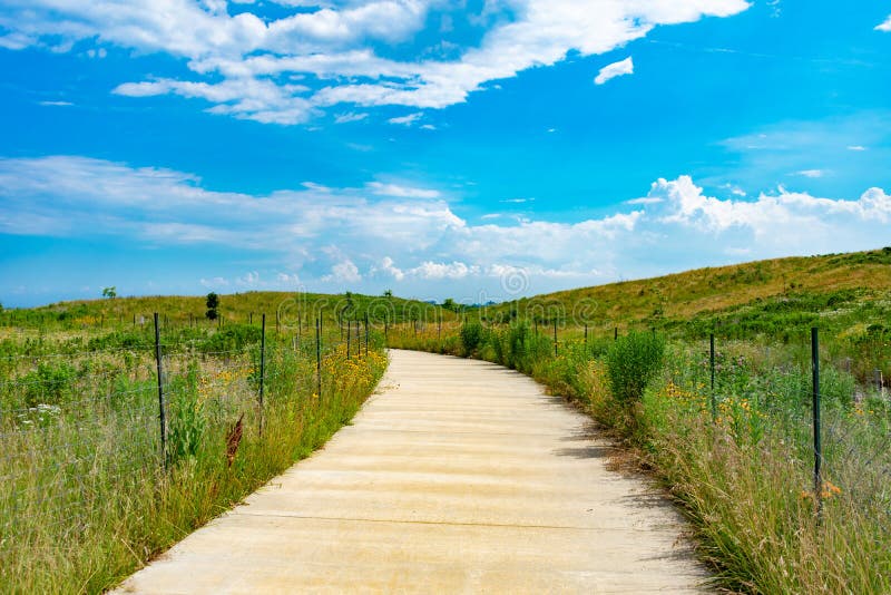 Path with Native Plants and a Blue Sky at Northerly Island in Chicago ...