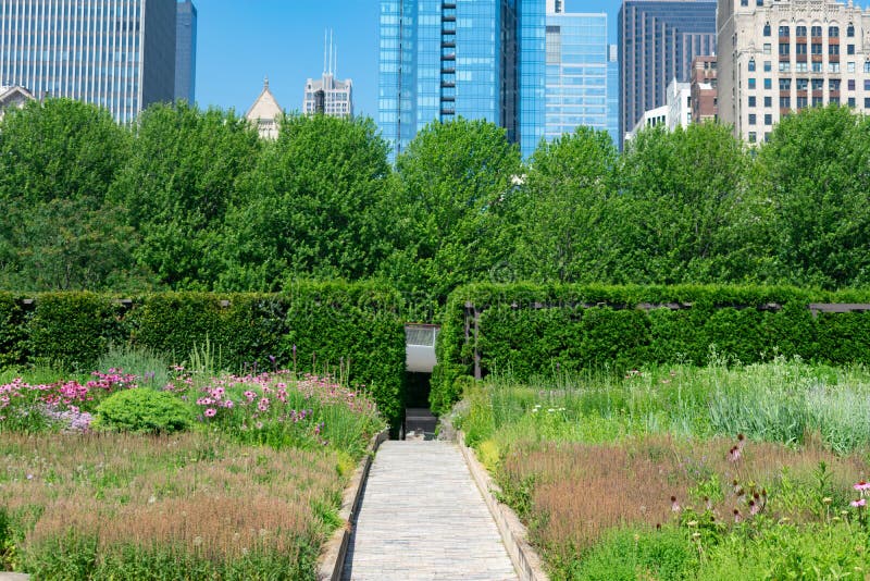 Path with Native Plants at a Downtown Chicago Park during Summer Stock ...