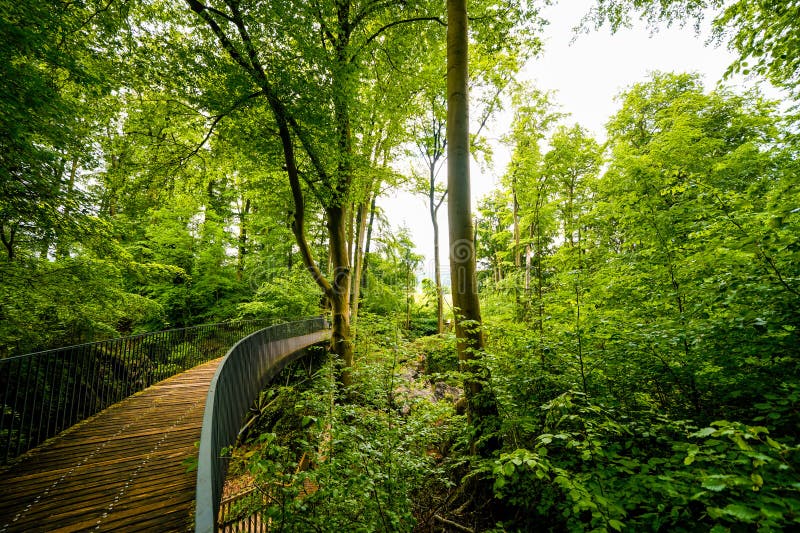 Path through Nature at the Felsenmeer in Hemer. Stock Image - Image of ...