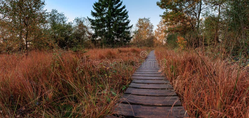 Path, Nature Reserve, Ecosystem, Wilderness Picture. Image: 112201256