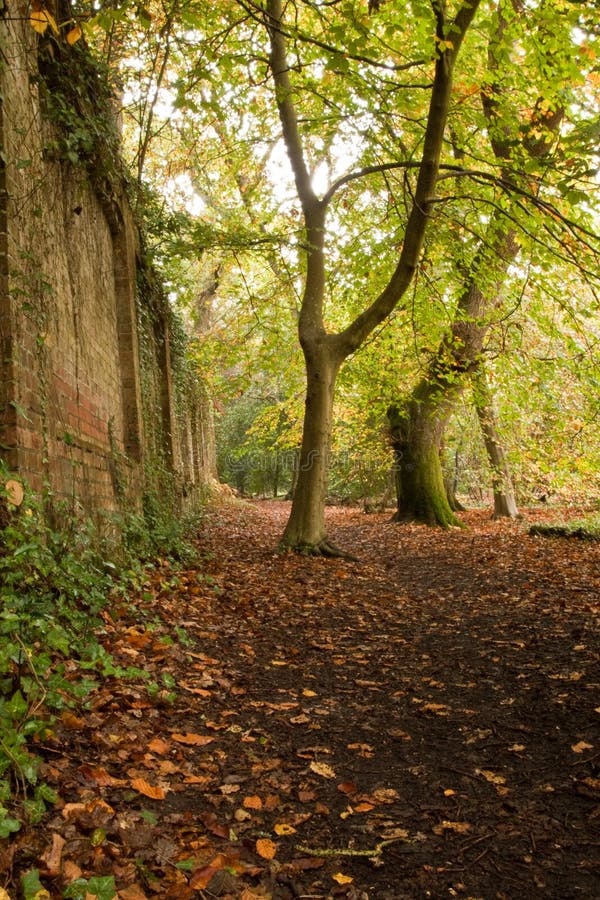 Path Next To the Boundary Wall Stock Image - Image of colors, colorful ...