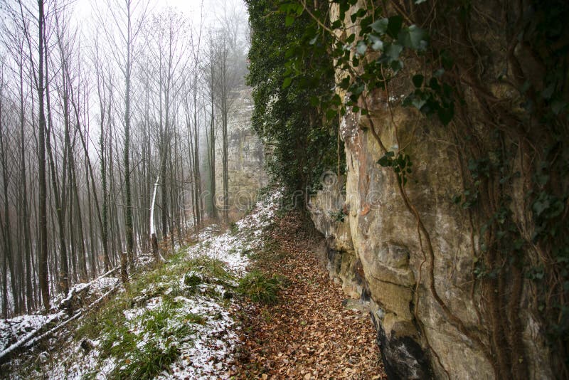 Path Next To the Rocks, Winter Scenery Stock Image - Image of cold ...