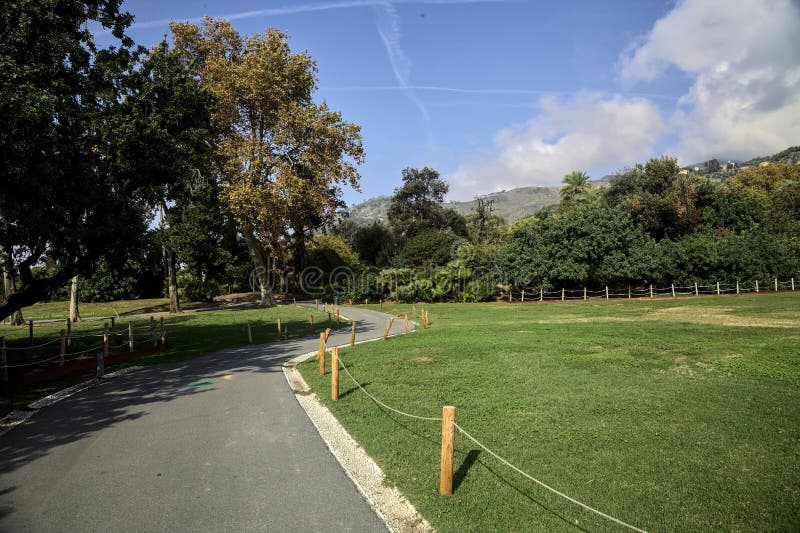 Path Next To Trees and an Open Space in a Park on a Sunny Day Stock ...