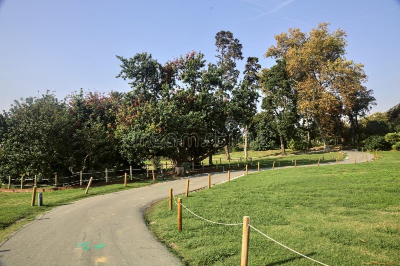 Path Next To Trees and an Open Space in a Park on a Sunny Day Stock ...