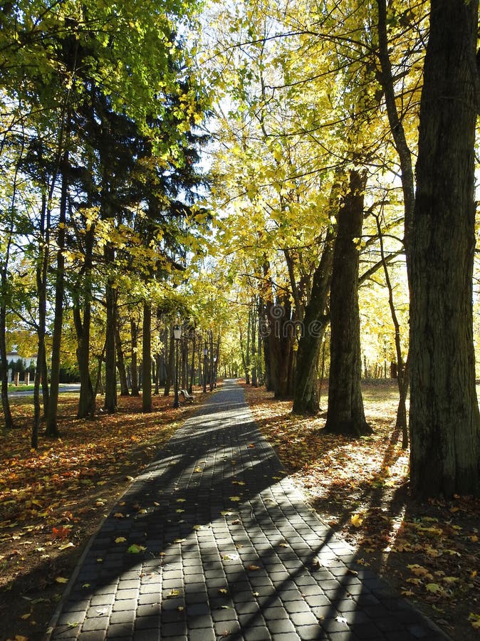 Path and Beautiful Autumn Trees, Lithuania Stock Image - Image of ...