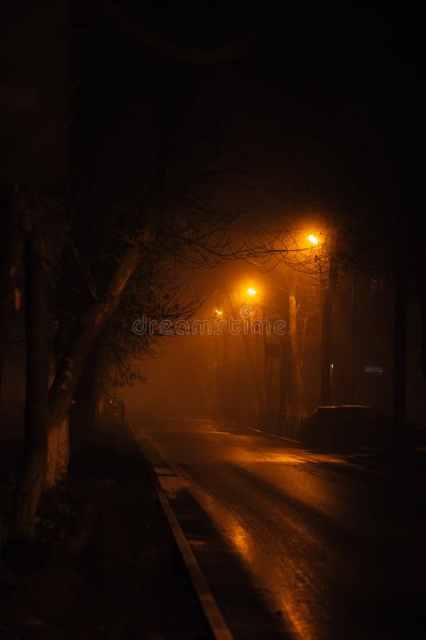 Path in the night park stock image. Image of outdoor - 50096095