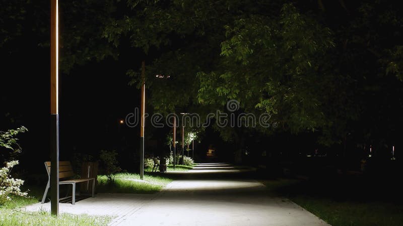 Walkway in a Night Park, Illuminated Walkway and Benches among Trees ...