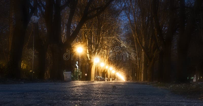 Path at night in a park stock photo. Image of ruse, nature - 116746428