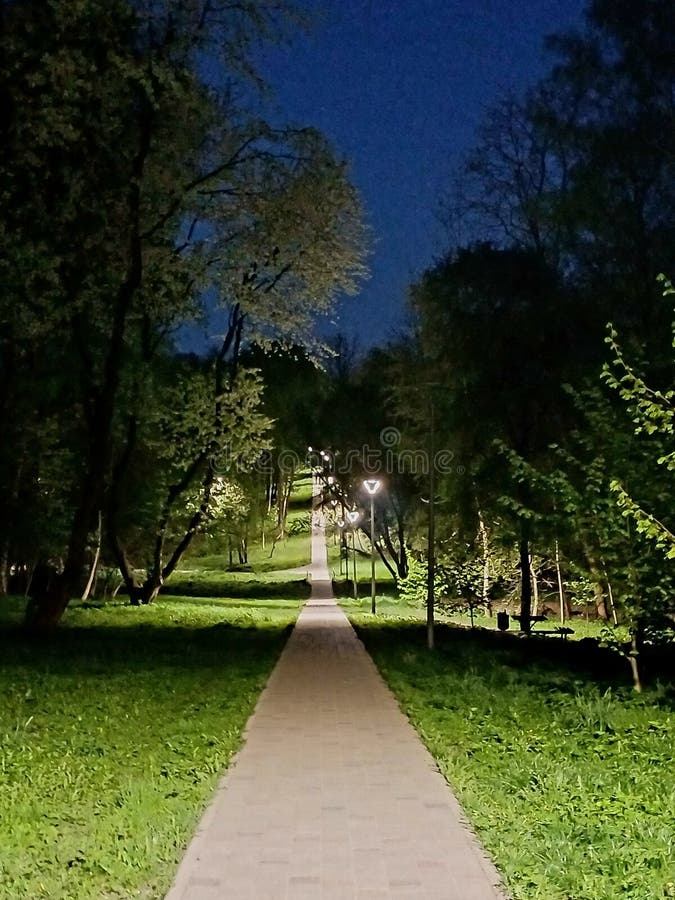A path in a night park stock photo. Image of tree, autumn - 314646102
