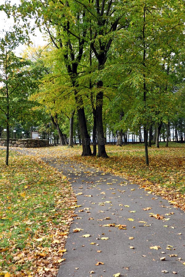 Path in the Old Autumn Park, Strewn with Maple Leaves, Autumn Landscape ... Path in the Old Autumn Park, Strewn with Maple Leaves, Autumn Landscape ...