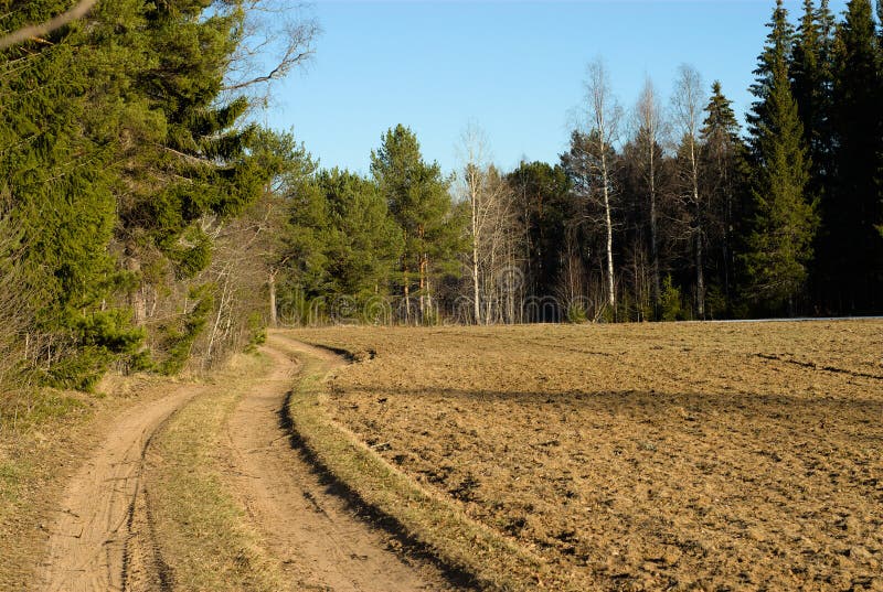 Path in an open field stock image. Image of trees, field - 247576197