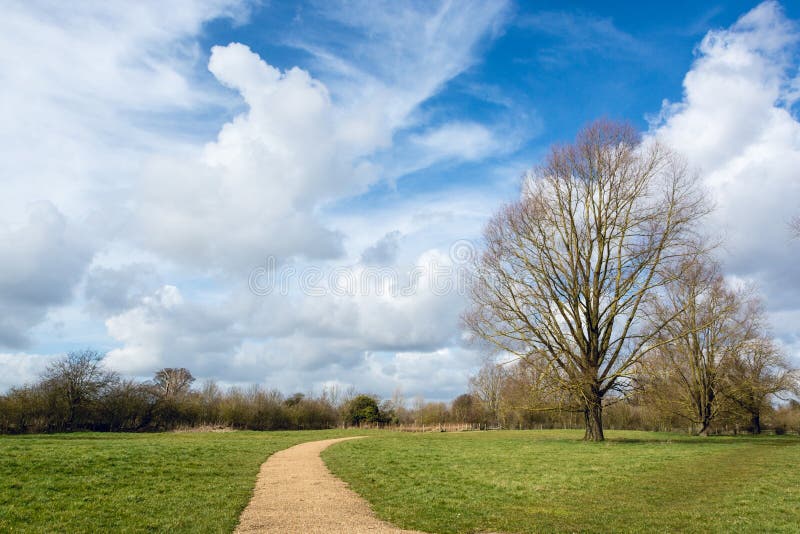 Nature Reserve, Path, Tree, Water Picture. Image: 128257178