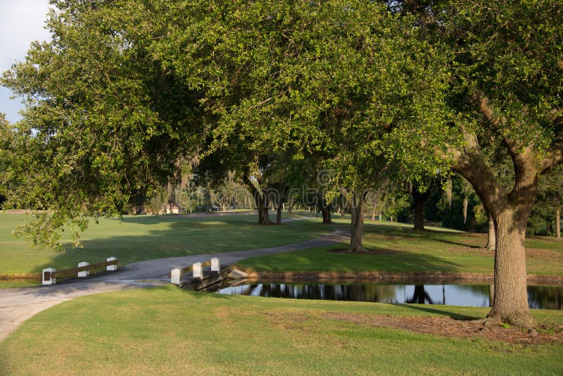 Path over pond stock photo. Image of tree, pond, path - 40777446