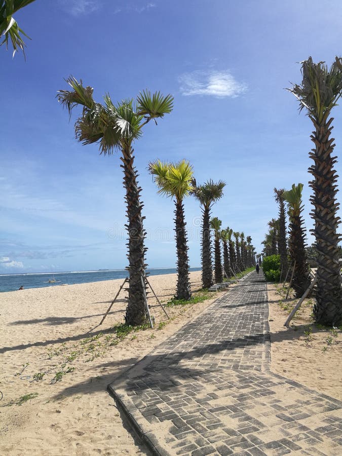 Path with Palm Trees on a Beach in Southern Bali Stock Photo - Image of ...
