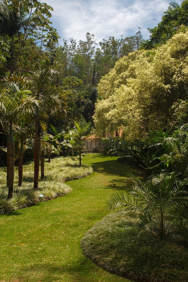 Path Palm Trees Inhotim Minas Gerais Brazil Stock Photos - Free ...