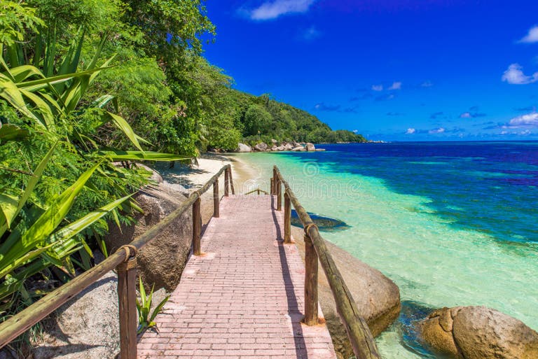 Path at paradise coast stock image. Image of palm, paradise - 144056181