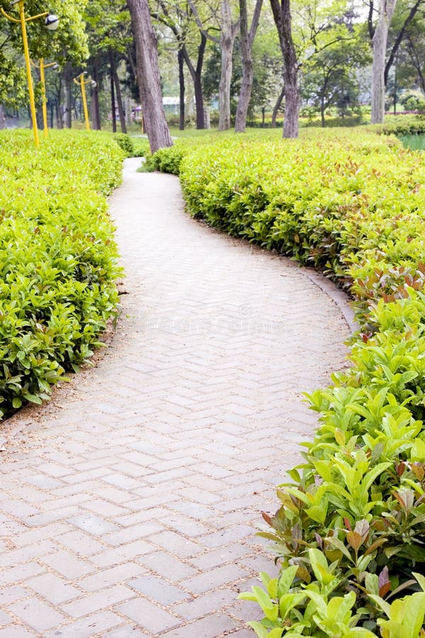 Path in the Park the Morning Sunshine Stock Photo - Image of glow ...