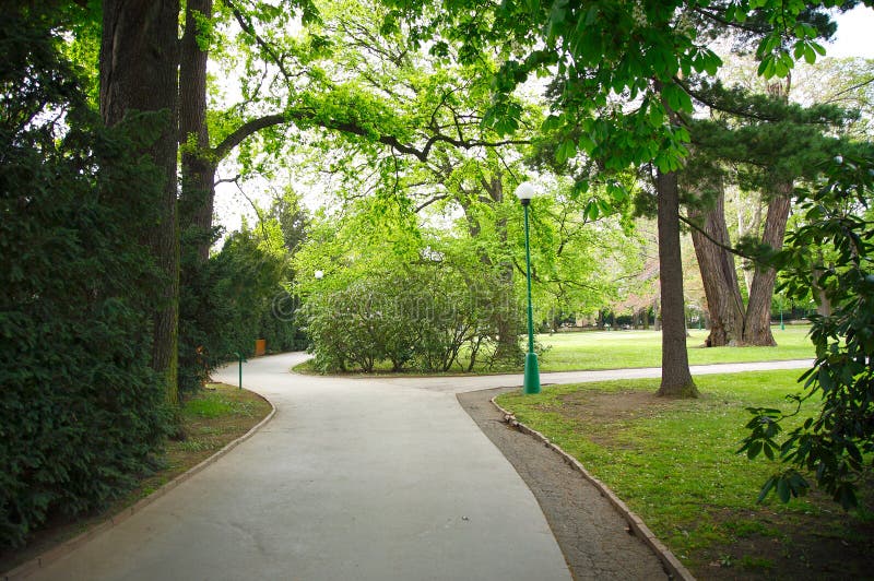 Path in the park stock image. Image of park, beautiful - 14146223