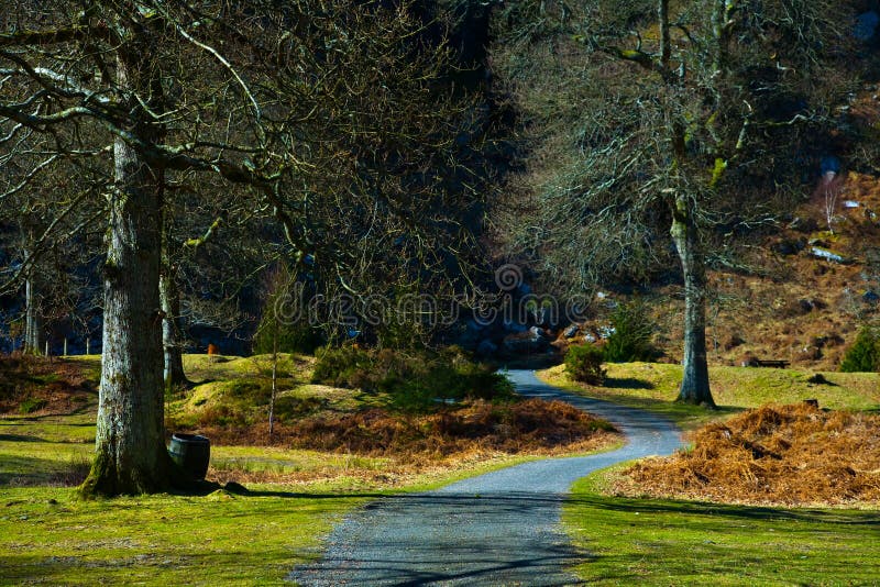 Path in the park stock image. Image of ground, colors - 15438965