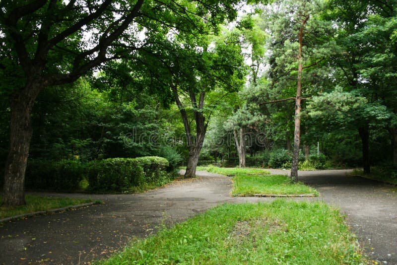 Path in the park stock image. Image of formal, lush, grow - 26924101