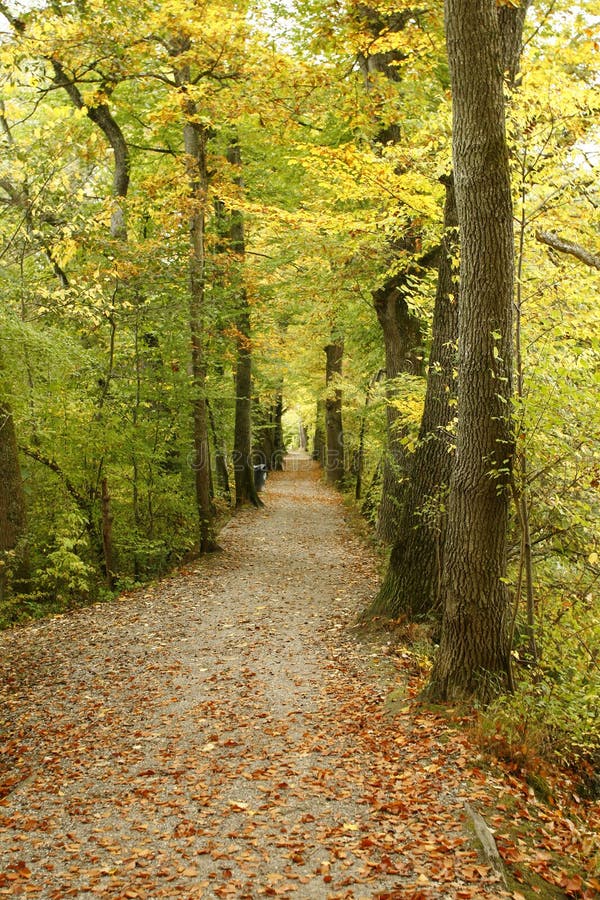 Path in park stock image. Image of october, multi, color - 29093079