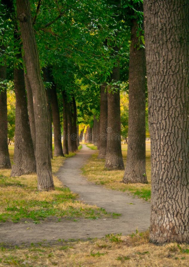 Path in a park stock photo. Image of paved, countryside - 750848